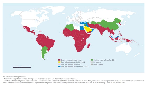 Travel Health Service Malaria